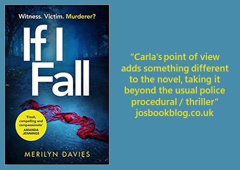 If I Fall by Merilyn Davies – Jo's Book Blog
