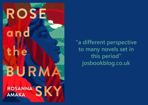 Rose and the Burma Sky by Rosanna Amaka – Jo's Book Blog